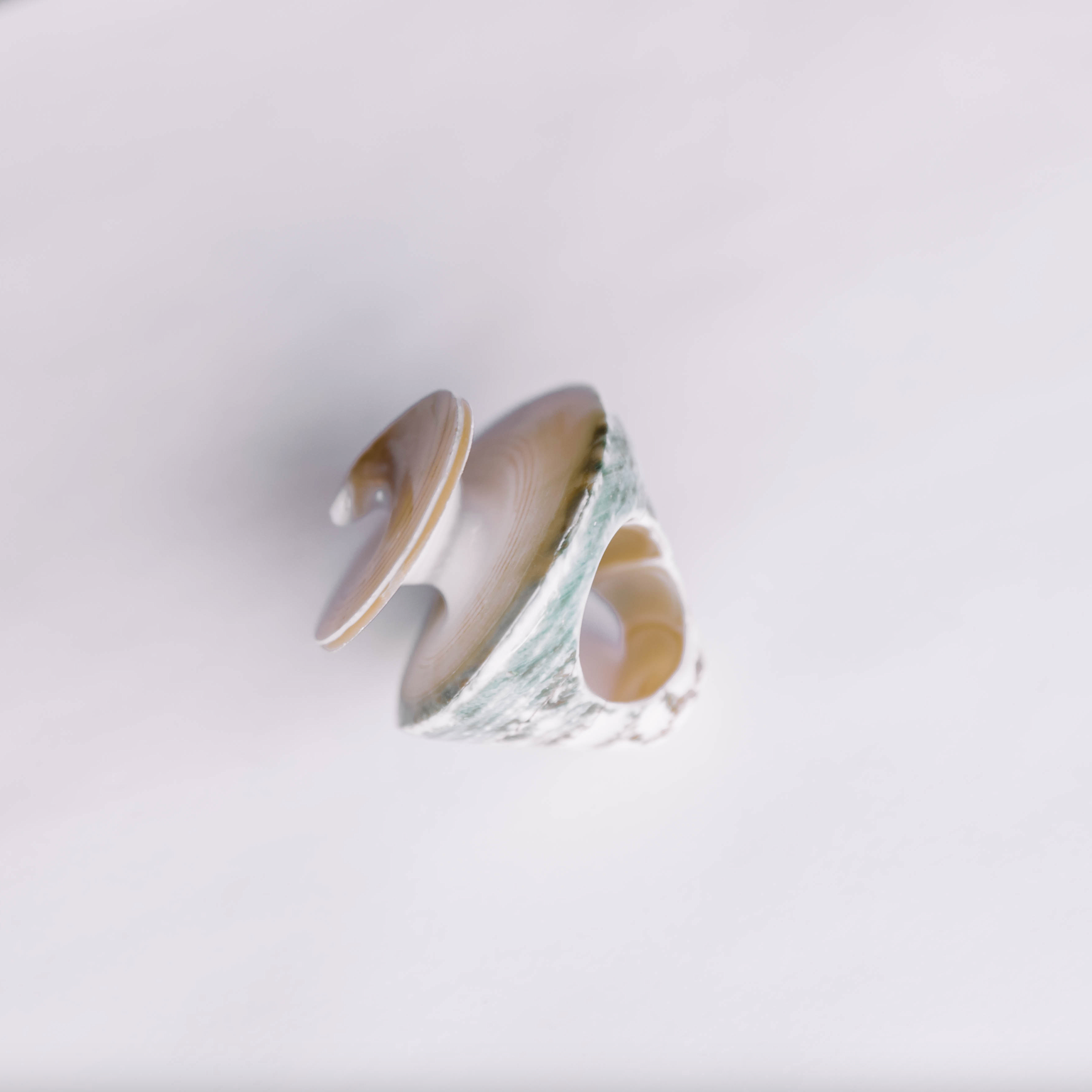 The Swirly Shell Ring – Jay Nicole Designs