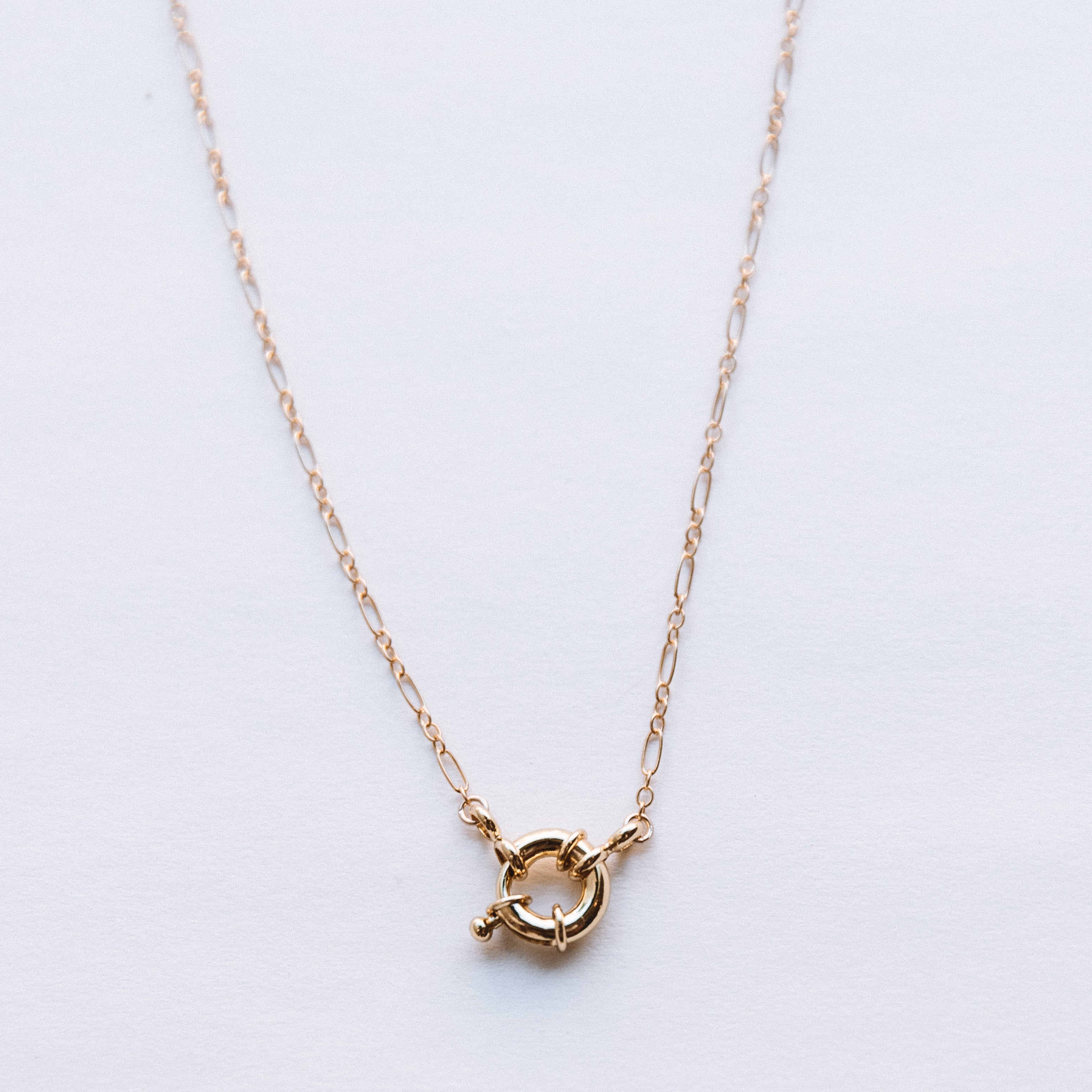 The Mini Clasp Necklace – Jay Nicole Designs